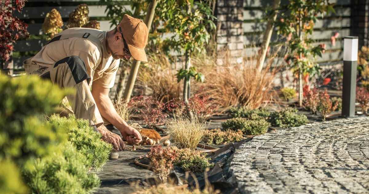 Landscape Technician | Programs | NSCC